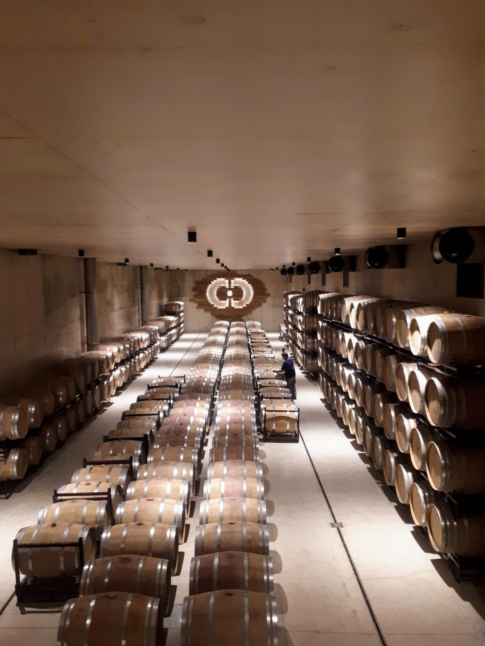 Discovering Utiel-Requena Wine Region, Valencia