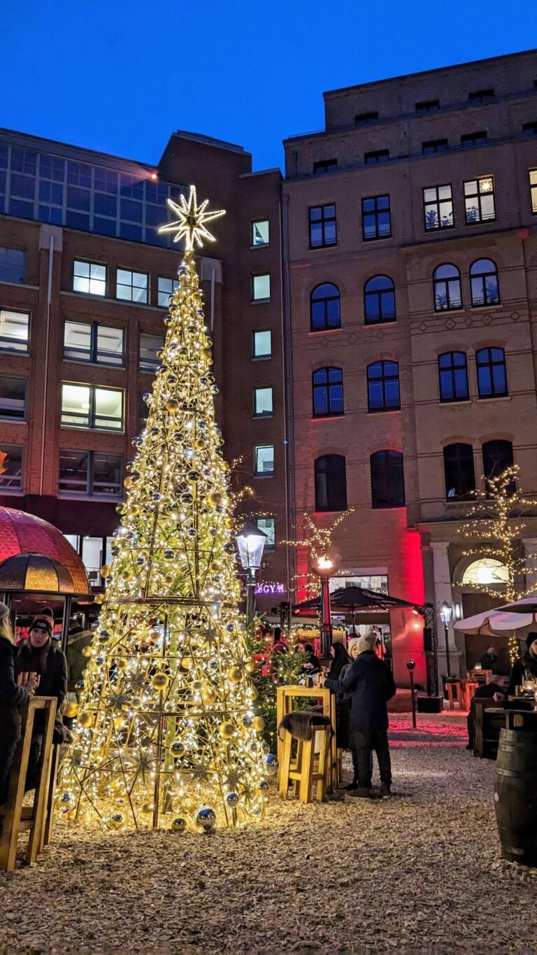 Hamburg in Winter - What to Do, Where to Go, and How Cold Is It?!